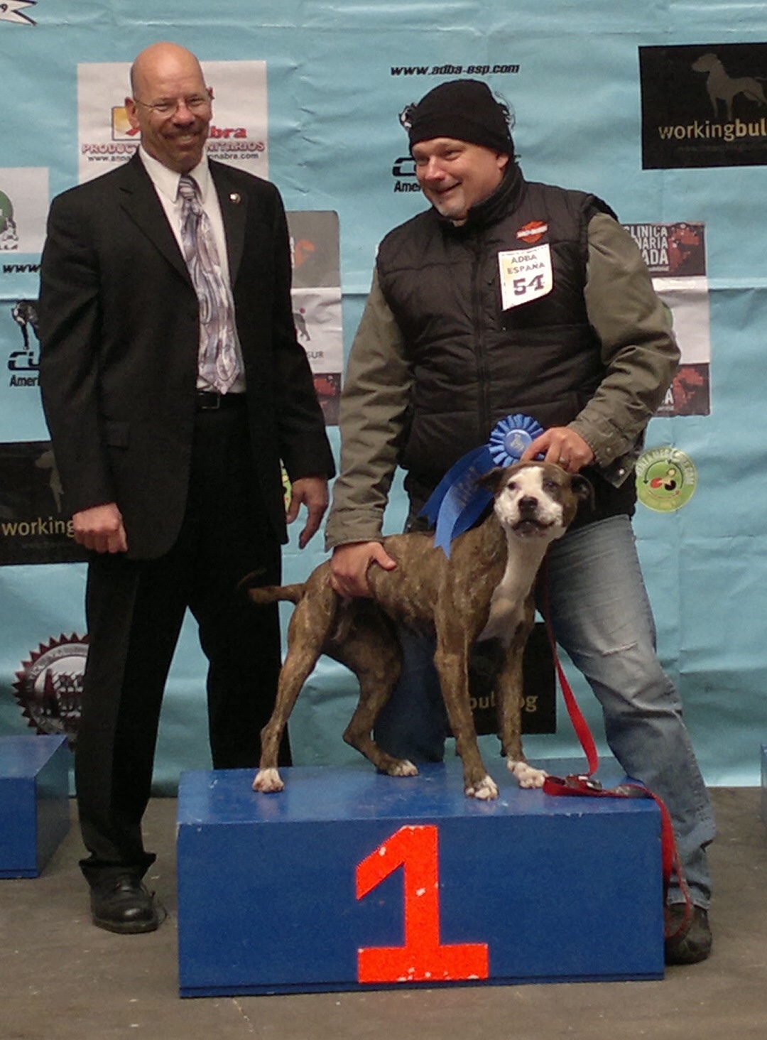 ADBA ESPAÑA – still a dog